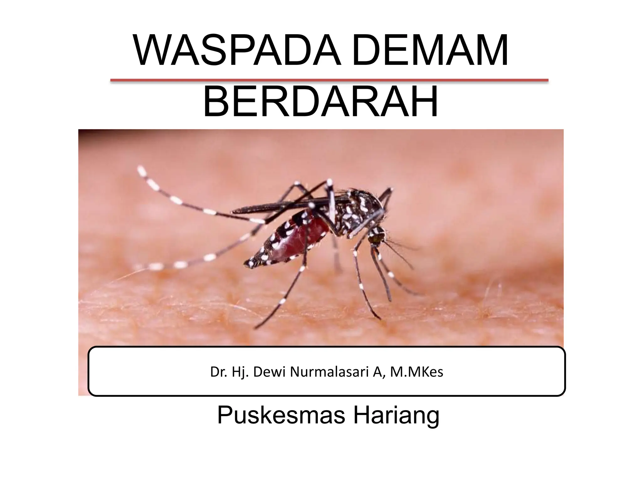 PENYULUHAN_DBD materi edukasi PSN nyamuk | PPT