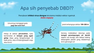 Penyuluhan DBD.pptx demam berdarah dengue | PPTX