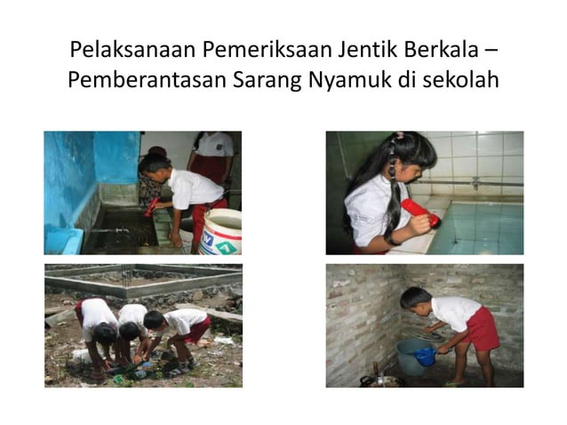 Penyuluhan Demam Berdarah Dengue pada masyarakat | PPT