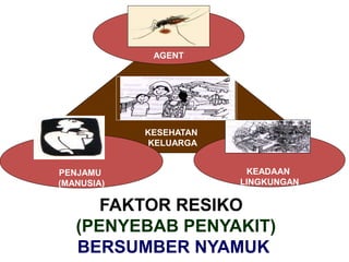Penyuluhan Demam Berdarah Dengue pada masyarakat | PPT
