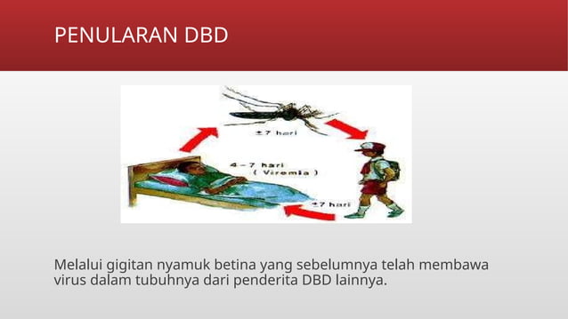 PENYULUHAN DEMAM BERDARAH DANGUE KEPADA KADER.pptx