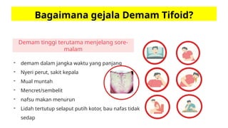 Penyuluhan Demam Tifoid beserta Gejala, dan Pencegahan | PPTX