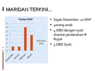 Penyuluhan DHF | PPT