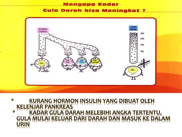 penyuluhan dm dan HT.pptx