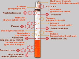 penyuluhan gerakan anti rokok Promkes Pkm Sioban.pptx