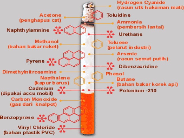 penyuluhan gerakan anti rokok Promkes Pkm Sioban.pptx