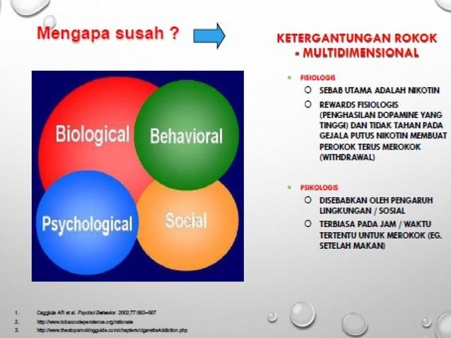 penyuluhan gerakan anti rokok Promkes Pkm Sioban.pptx