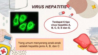penyuluhan hepatitis di puskesmas pademangan | PPTX