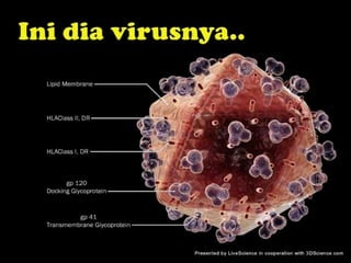 Materi PPT Penyuluhan HIV Oleh Puskesmas Sangkapura | PPTX