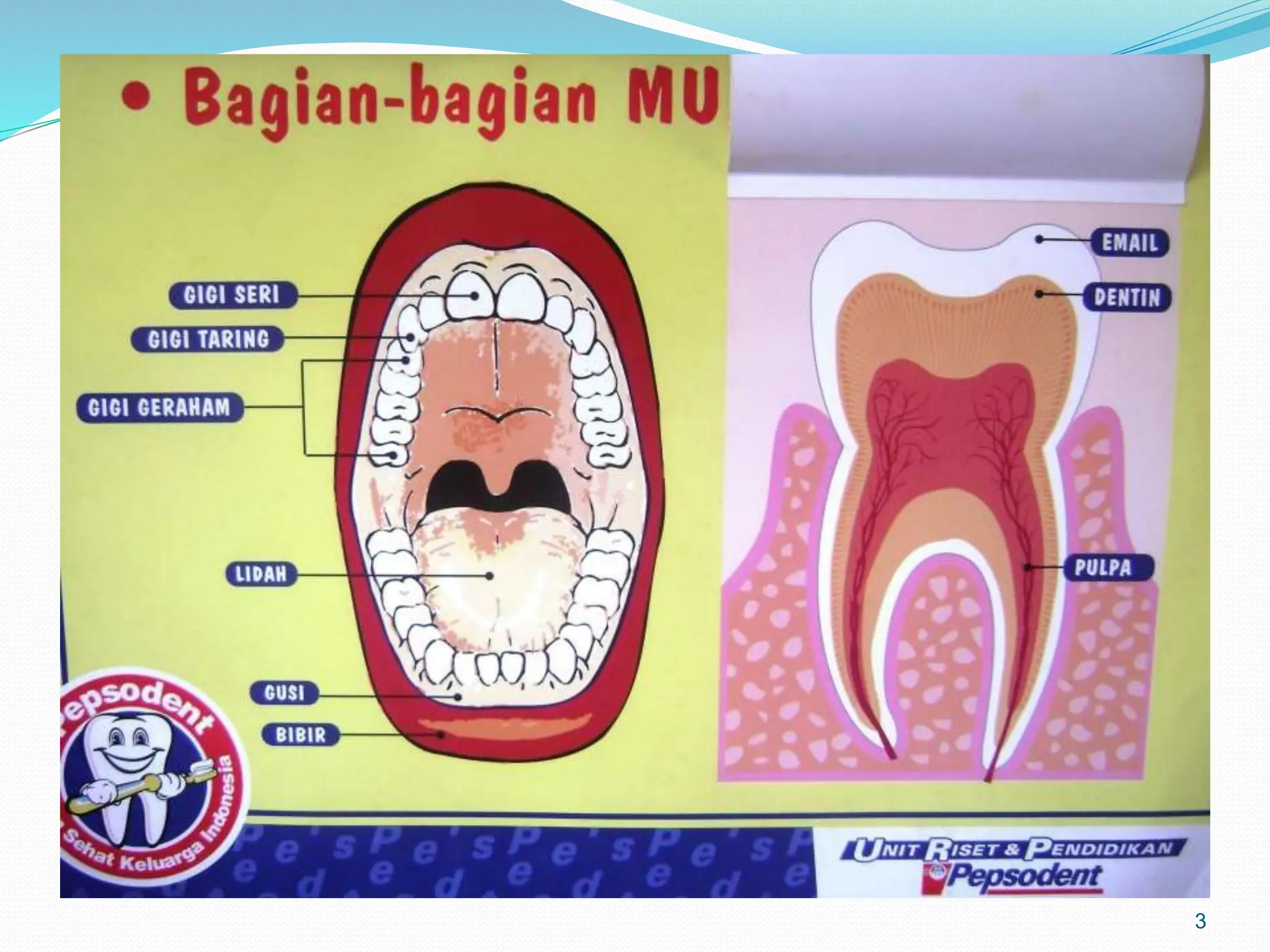 penyuluhan gigi dan mulut untuk sekolah.pptx