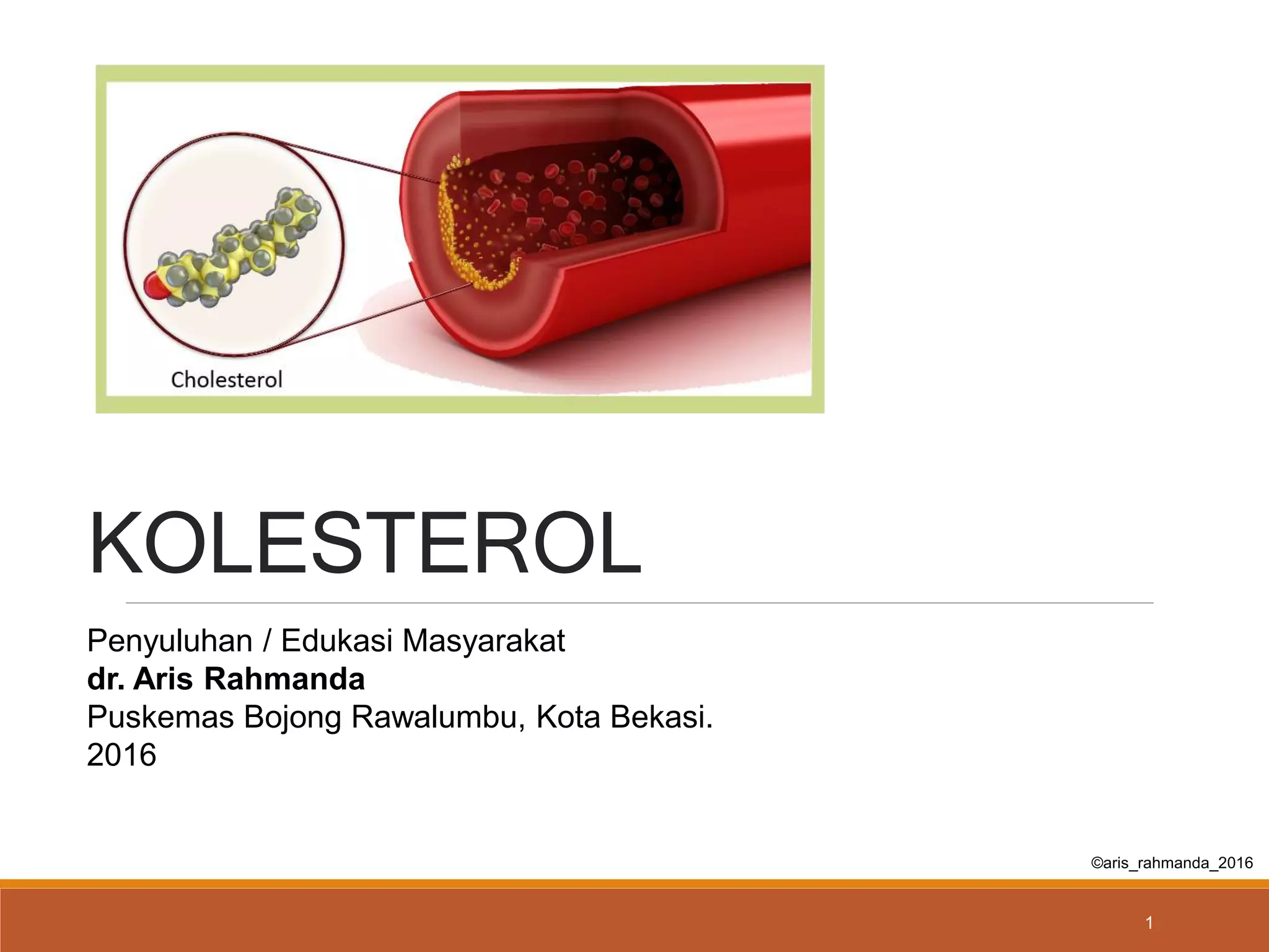 Penyuluhan Kolesterol | PPT