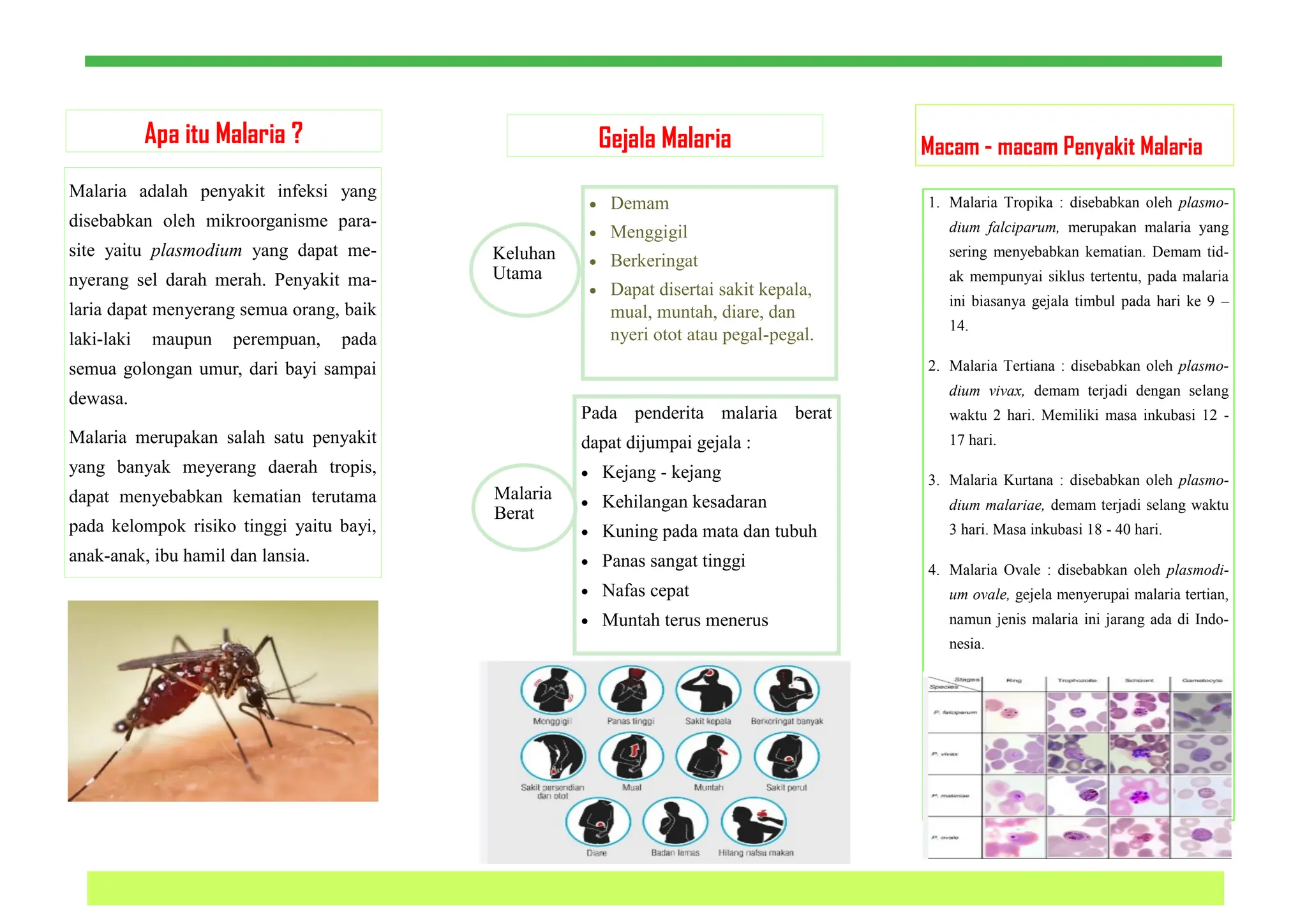 penyuluhan MALARIA PUSKESMAS YOMDORI.... | PDF