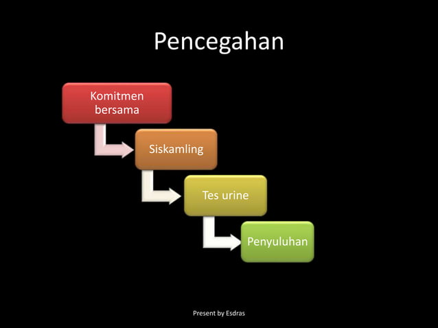 Penyuluhan Masyarakat | PPTX