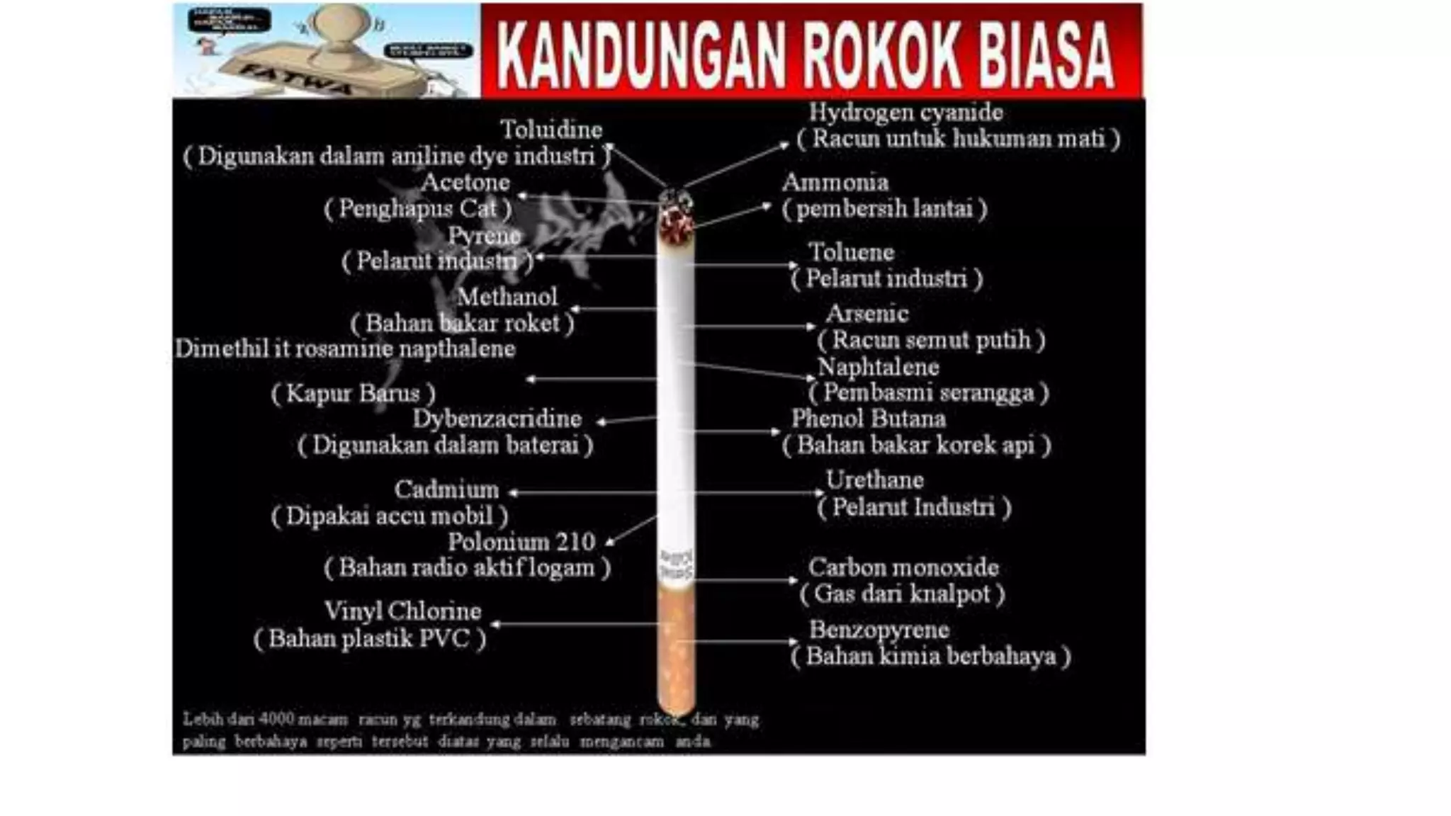 Penyuluhan Pentingnya Mengetahui Bahaya Merokok bagi Kesehatan.pptx