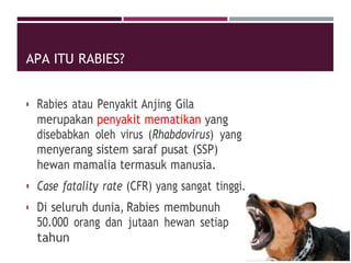 Penyuluhan Penyakit Rabies.docx