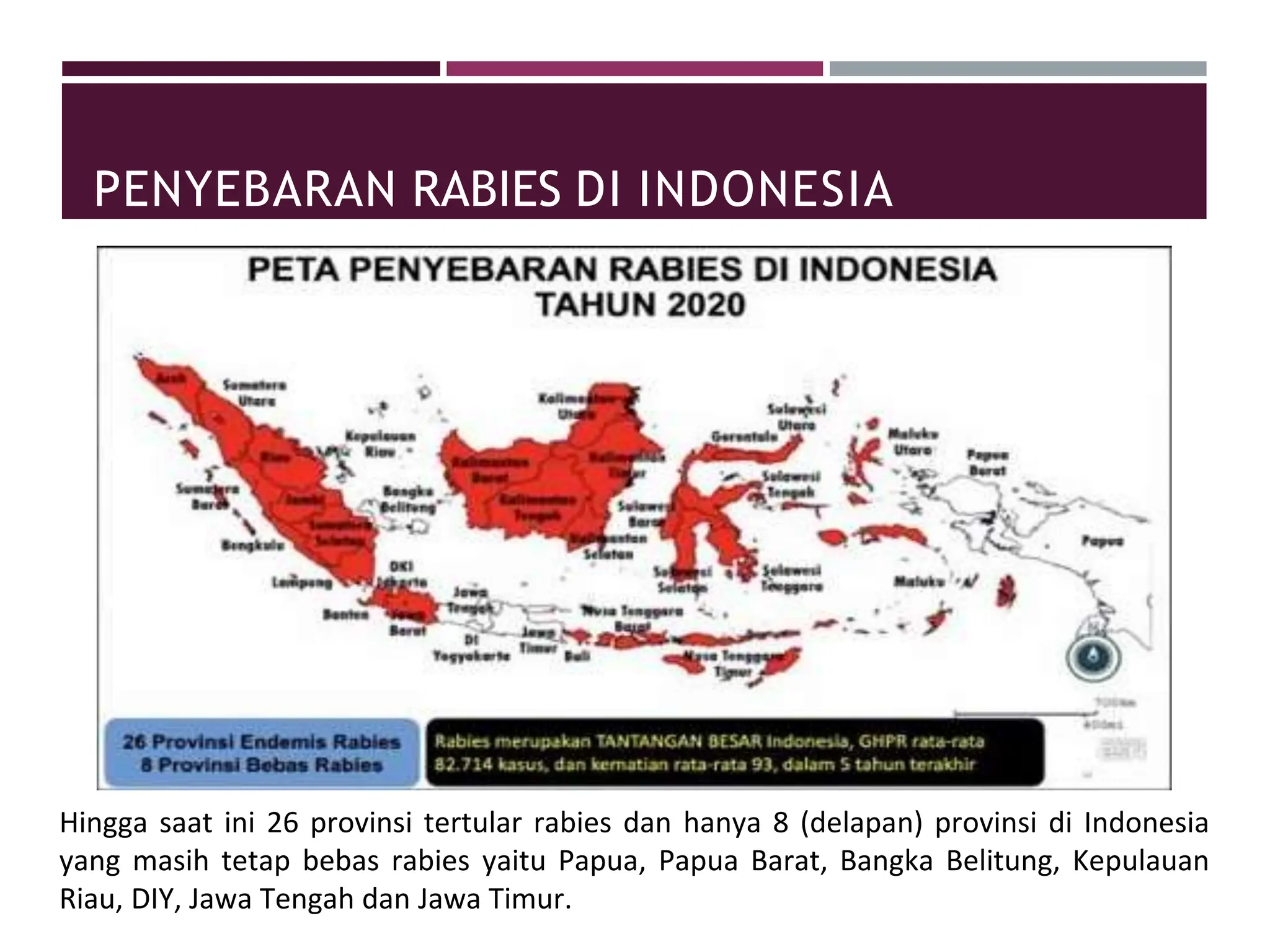 PENYULUHAN PENYAKIT RABIES.pptx