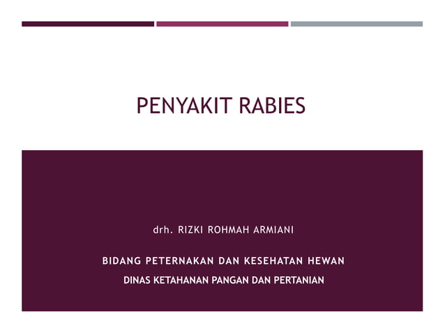 PENYULUHAN PENYAKIT RABIES.pptx