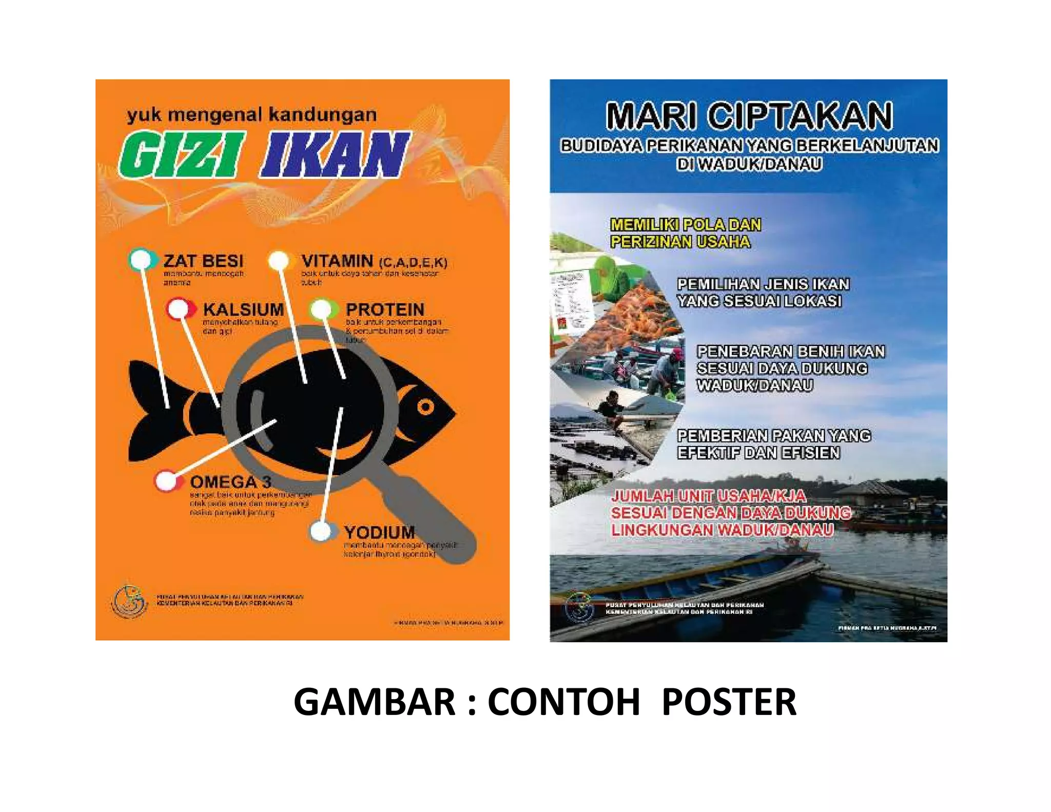 Penyuluhan perikanan & kelautan (ppk) minggu ke 2 dan 3 | PDF