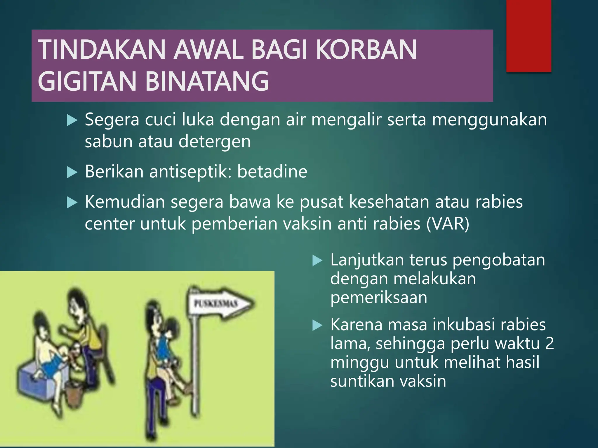 Penyuluhan rabies ppt hshdhdhdhdhdhdhdhhd | PPT