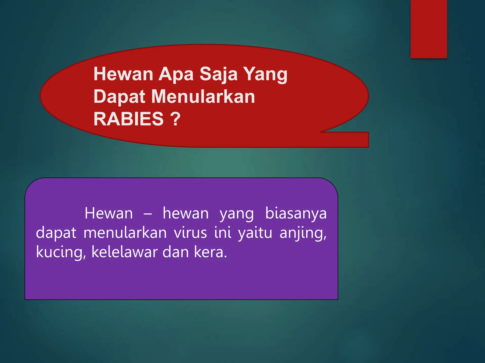Penyuluhan rabies ppt hshdhdhdhdhdhdhdhhd | PPT