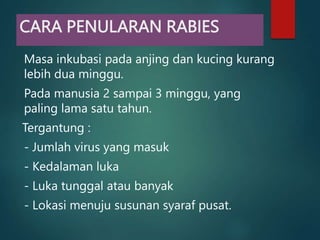 Penyuluhan rabies ppt hshdhdhdhdhdhdhdhhd | PPT