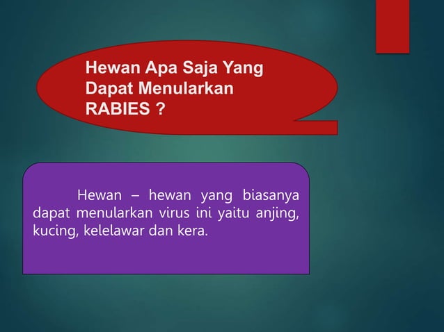 Penyuluhan rabies ppt hshdhdhdhdhdhdhdhhd | PPT