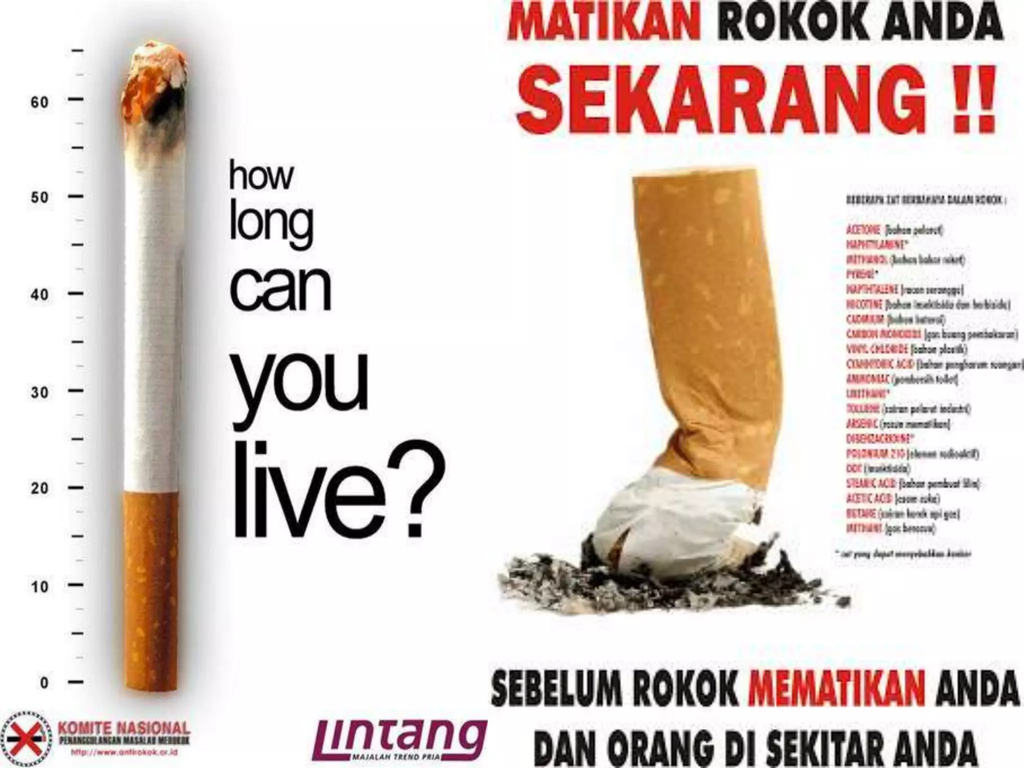 Penyuluhan Rokok | PPTX