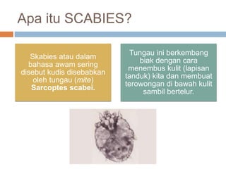 PENYULUHAN_SCABIES.pptx