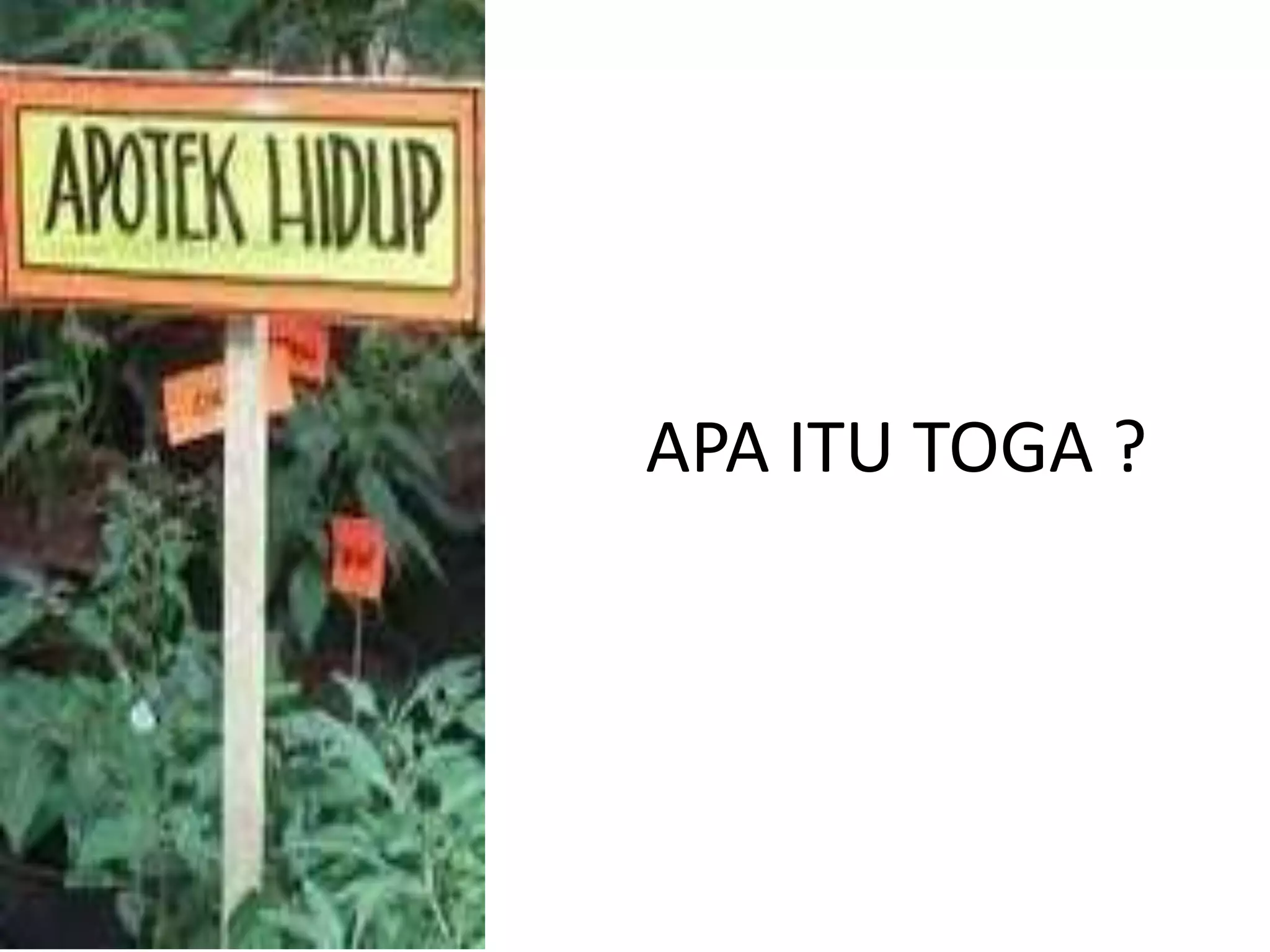 Penyuluhan Tanaman Obat Keluarga (TOGA) FIX.pptx