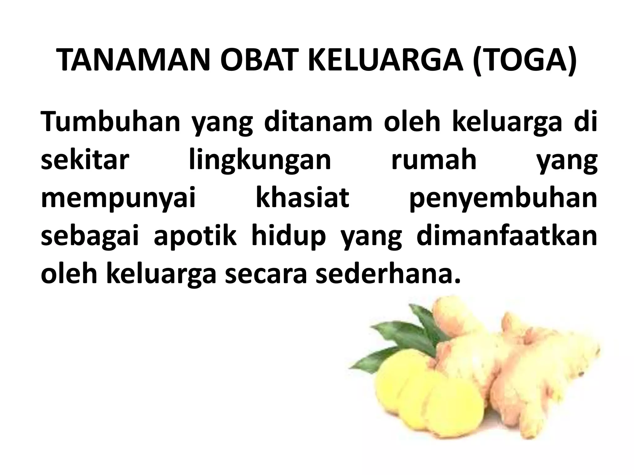 Penyuluhan Tanaman Obat Keluarga (TOGA) FIX.pptx
