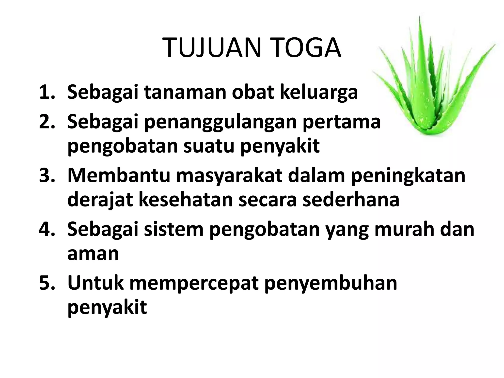 Penyuluhan Tanaman Obat Keluarga (TOGA) FIX.pptx
