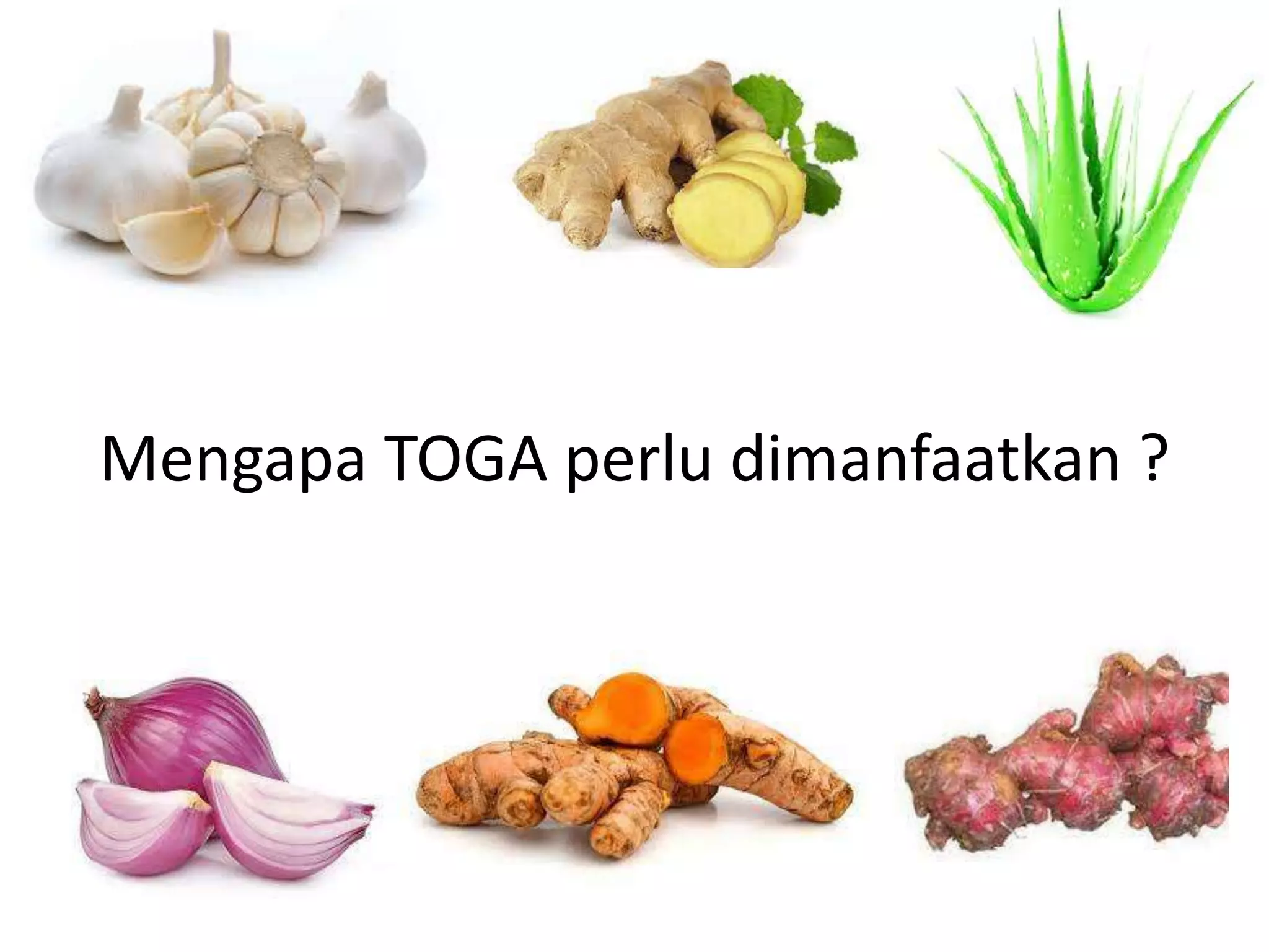 Penyuluhan Tanaman Obat Keluarga (TOGA) FIX.pptx