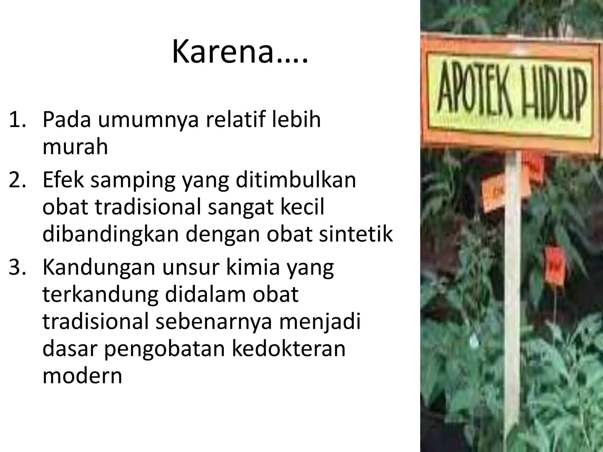 Penyuluhan Tanaman Obat Keluarga (TOGA) FIX.pptx