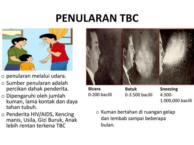 Penyuluhan tbc bagi tenaga pendidik | PPTX