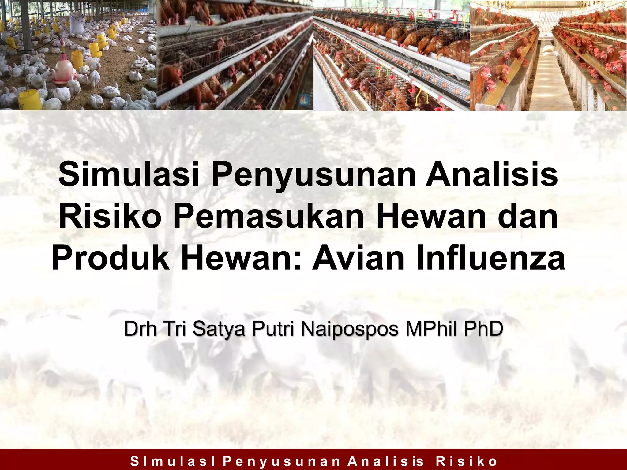Penyusunan Analisis Risiko Pemasukan Hewan dan Produk Hewan: Avian ...