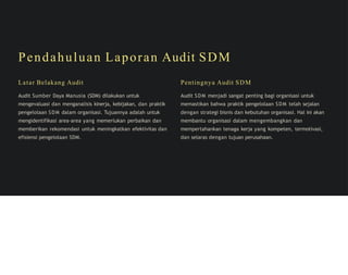 Penyusunan Laporan Audit SDM dan Rekomendasi Hasil Audit.pptx