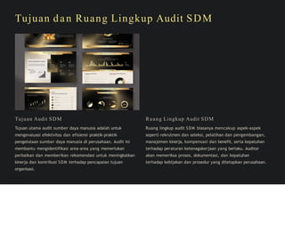 Penyusunan Laporan Audit SDM dan Rekomendasi Hasil Audit.pptx