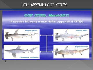 Penyusunan NDF dan KUOTA Perdagangan HIU apendiks II CITES | PPTX