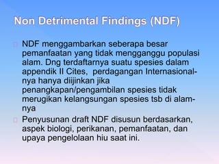 Penyusunan NDF dan KUOTA Perdagangan HIU apendiks II CITES | PPTX