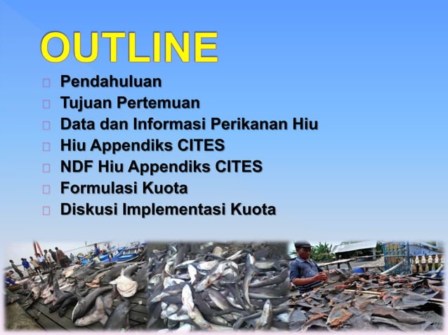 Penyusunan NDF dan KUOTA Perdagangan HIU apendiks II CITES | PPTX