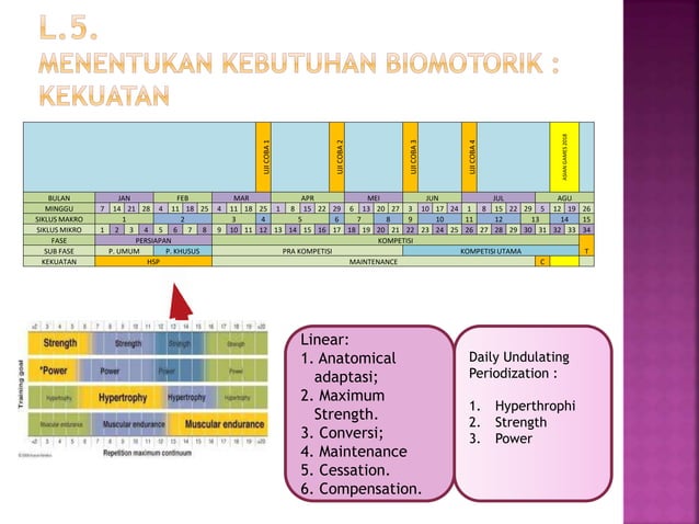 PENYUSUNAN PROGRAM LATIHAN UNTUK PELATIH.ppptx | PPT