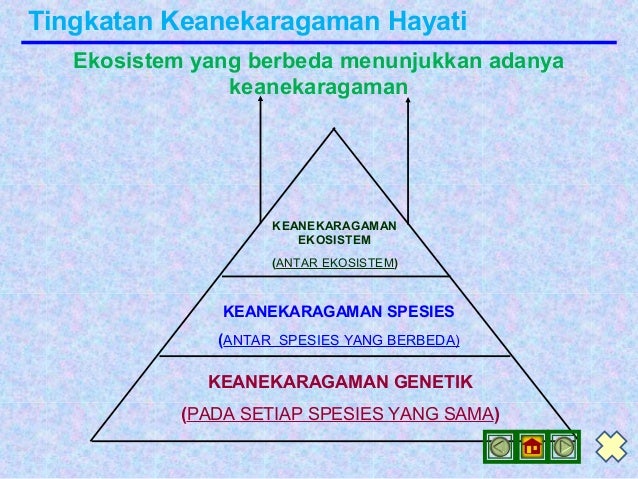 Penyusutan keanekaragaman hayati (2)