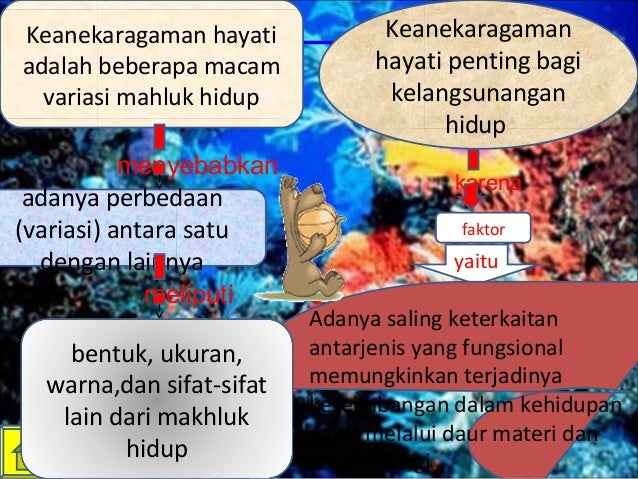 Penyusutan keanekaragaman hayati (2)
