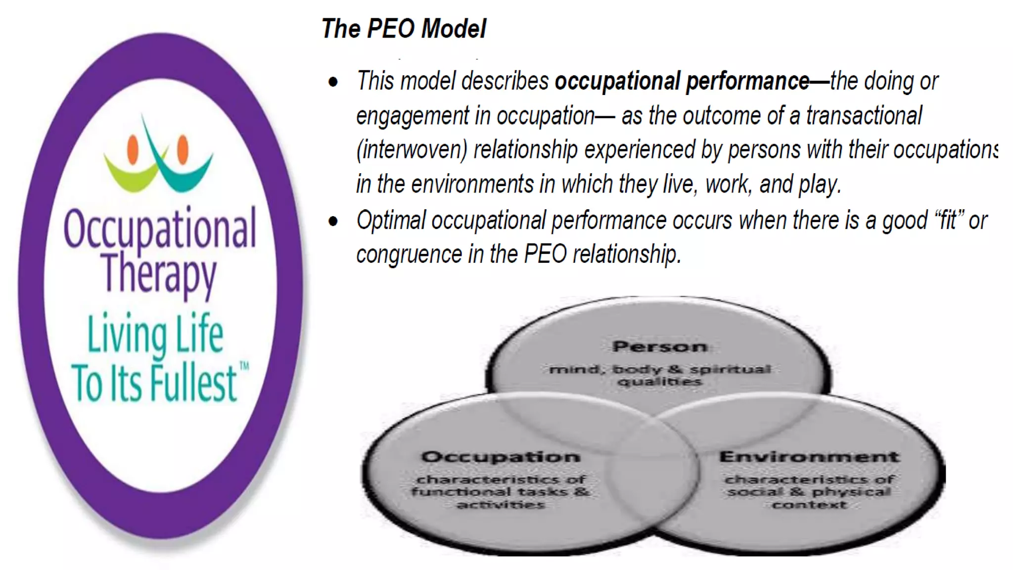 Applying the Person Environment Occupation Model to Practice | PPTX