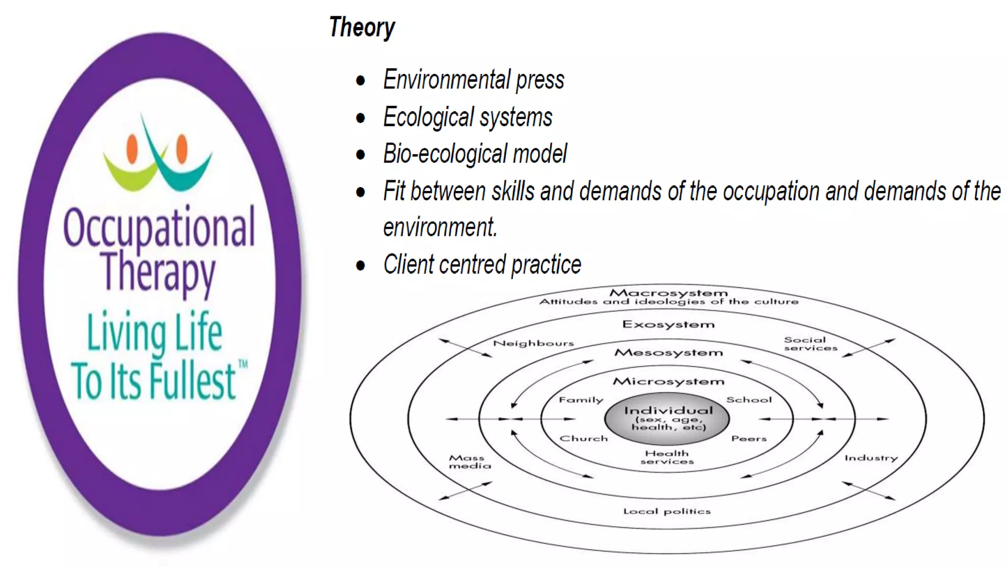 Applying the Person Environment Occupation Model to Practice | PPTX