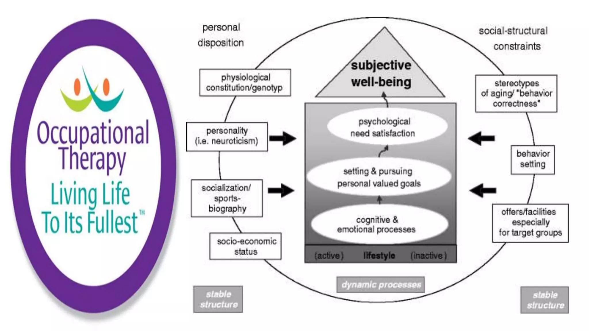 Applying the Person Environment Occupation Model to Practice | PPTX