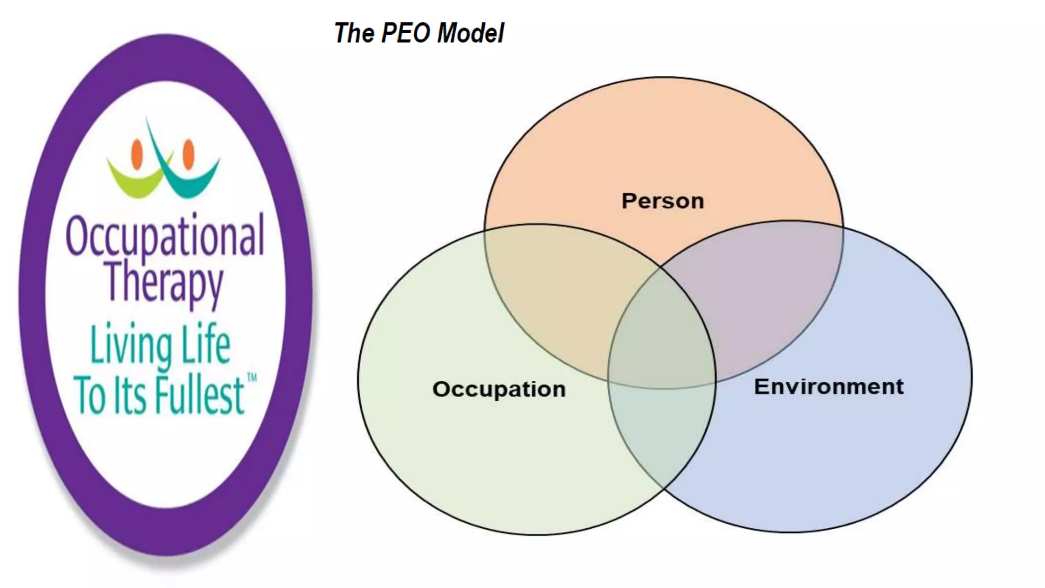 Applying the Person Environment Occupation Model to Practice | PPTX