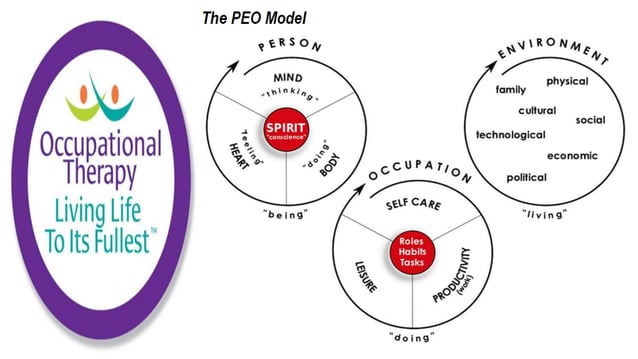 Applying the Person Environment Occupation Model to Practice | PPTX