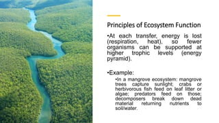 Lesson 1 : Science and the Art of Geography Ecosystem | PDF