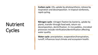 Lesson 1 : Science and the Art of Geography Ecosystem | PDF